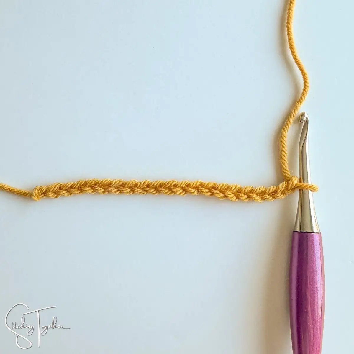 Mini Bean Stitch (Elizabeth Stitch) Full Crochet Tutorial