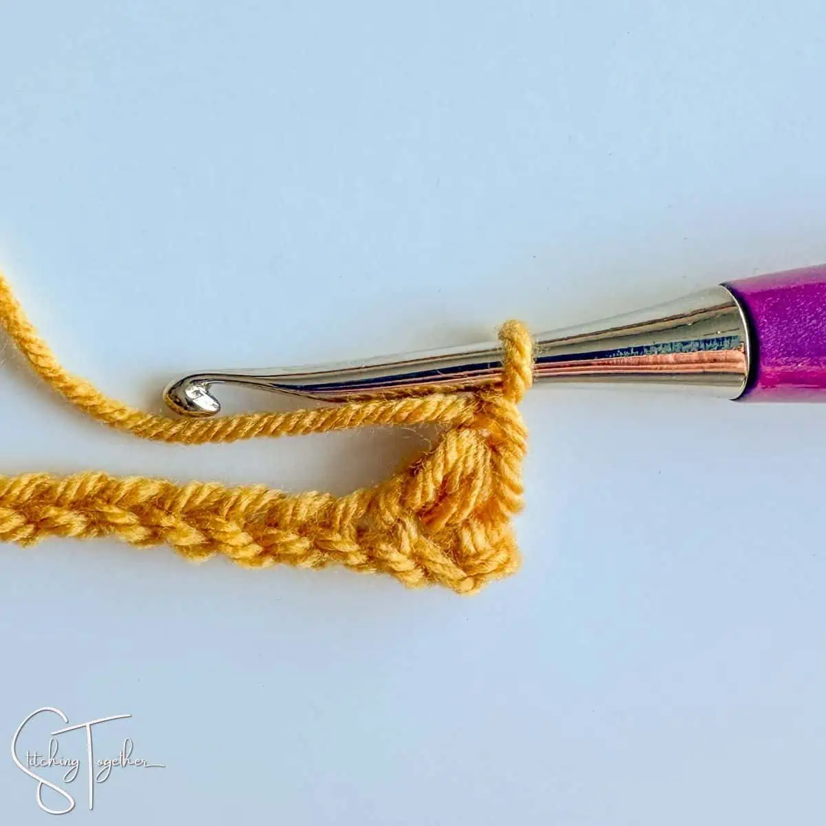 Mini Bean Stitch (Elizabeth Stitch) Full Crochet Tutorial