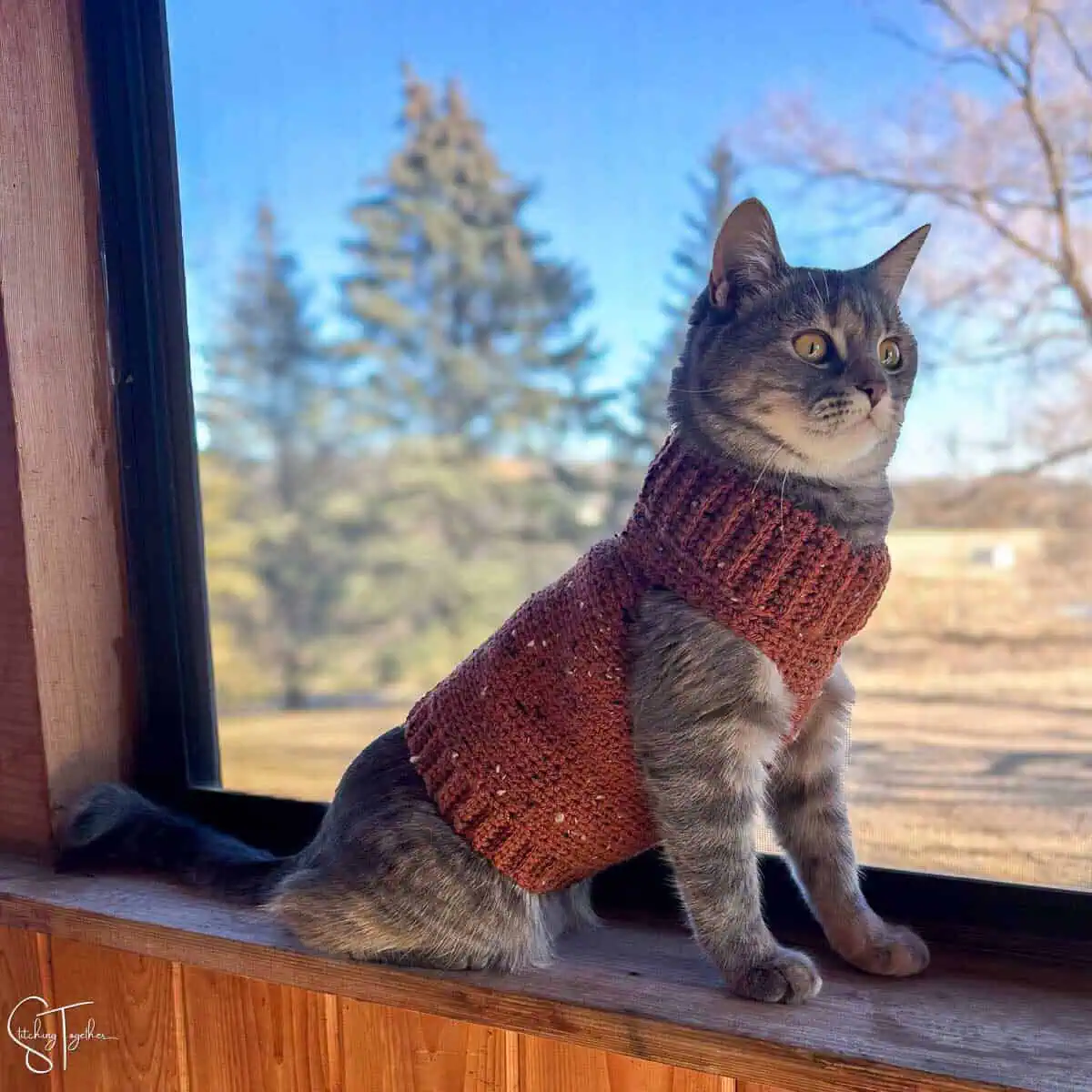 Free Crochet Cat Sweater Pattern