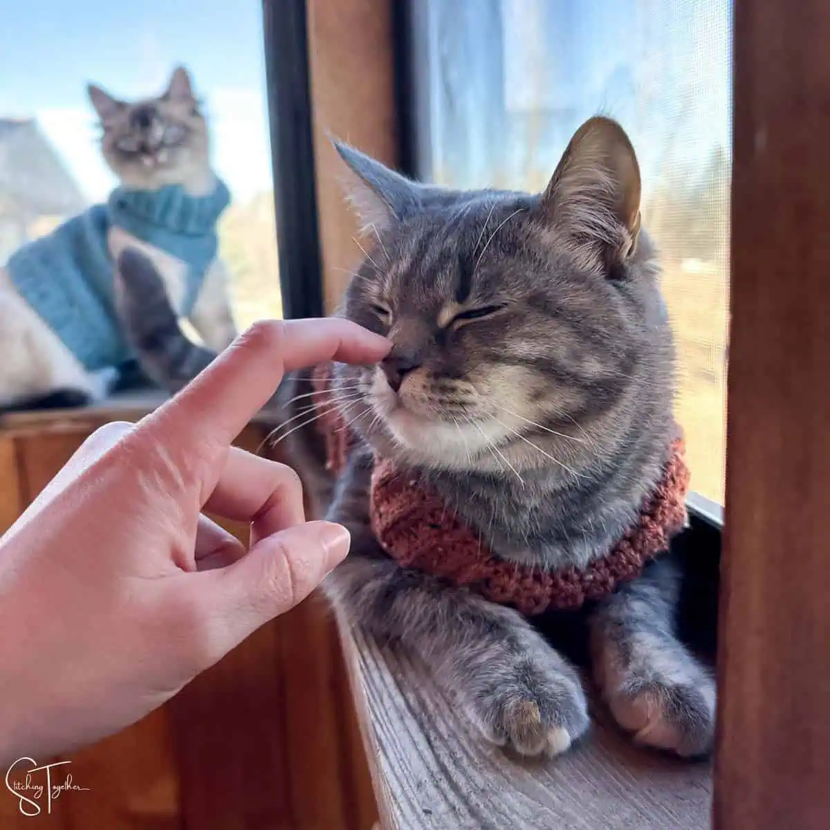 Free Crochet Cat Sweater Pattern