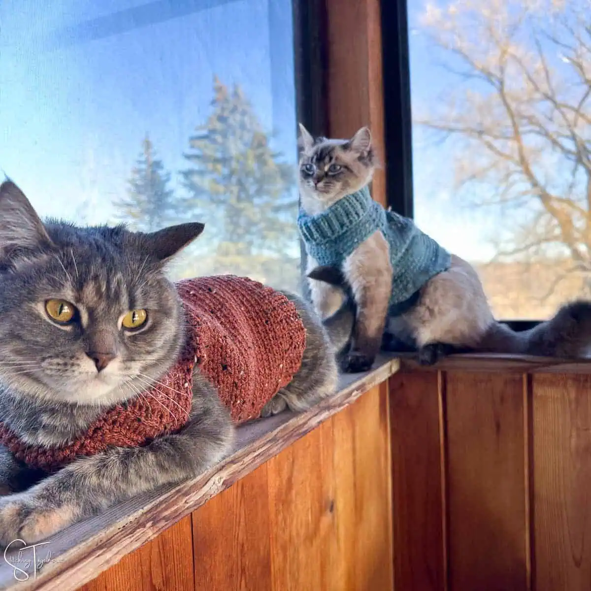 Free Crochet Cat Sweater Pattern